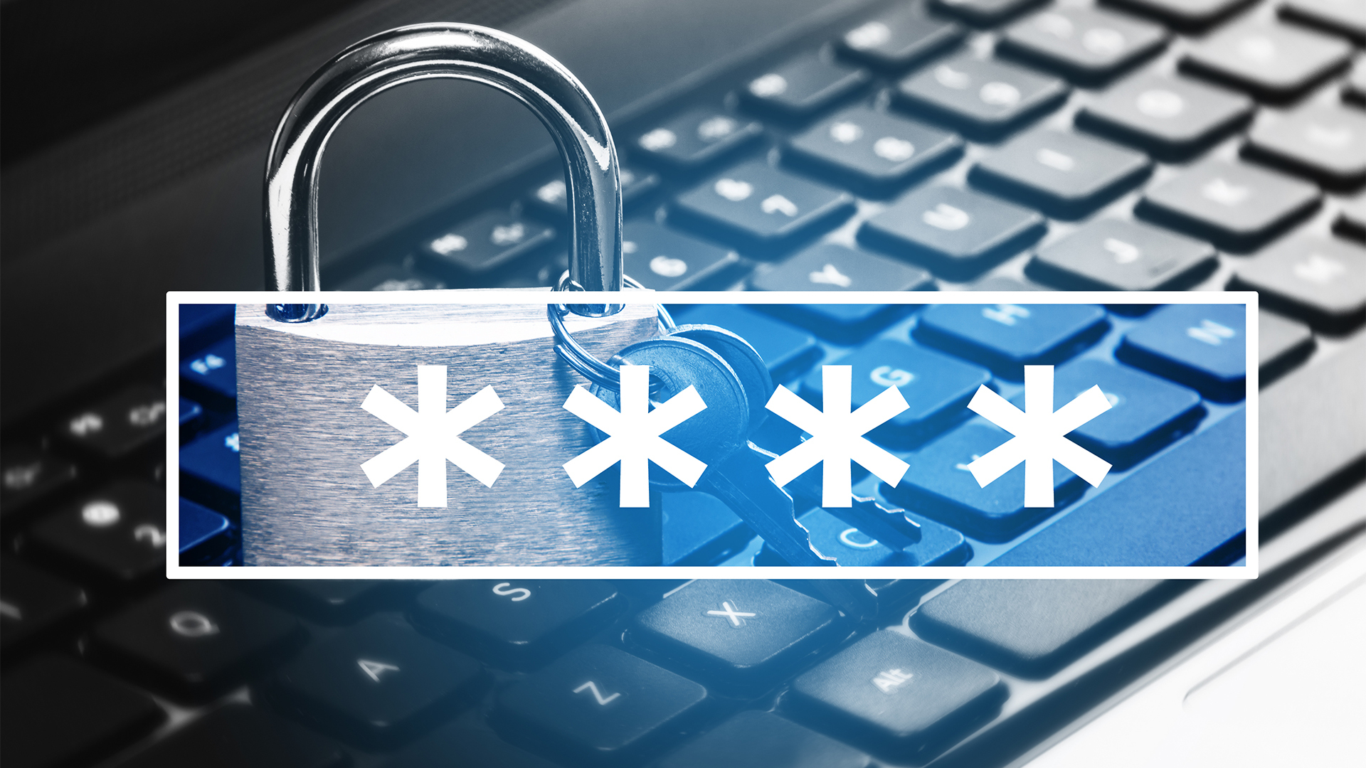 National Password Day: Are Your Passwords Strong Enough? - PNJ ...